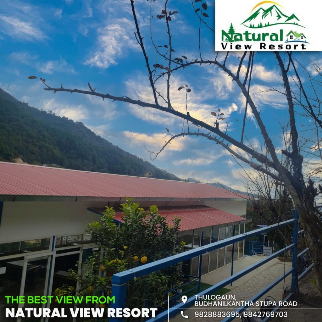 Natural View Resort – Welcome to Natural View Resort, a haven of ...